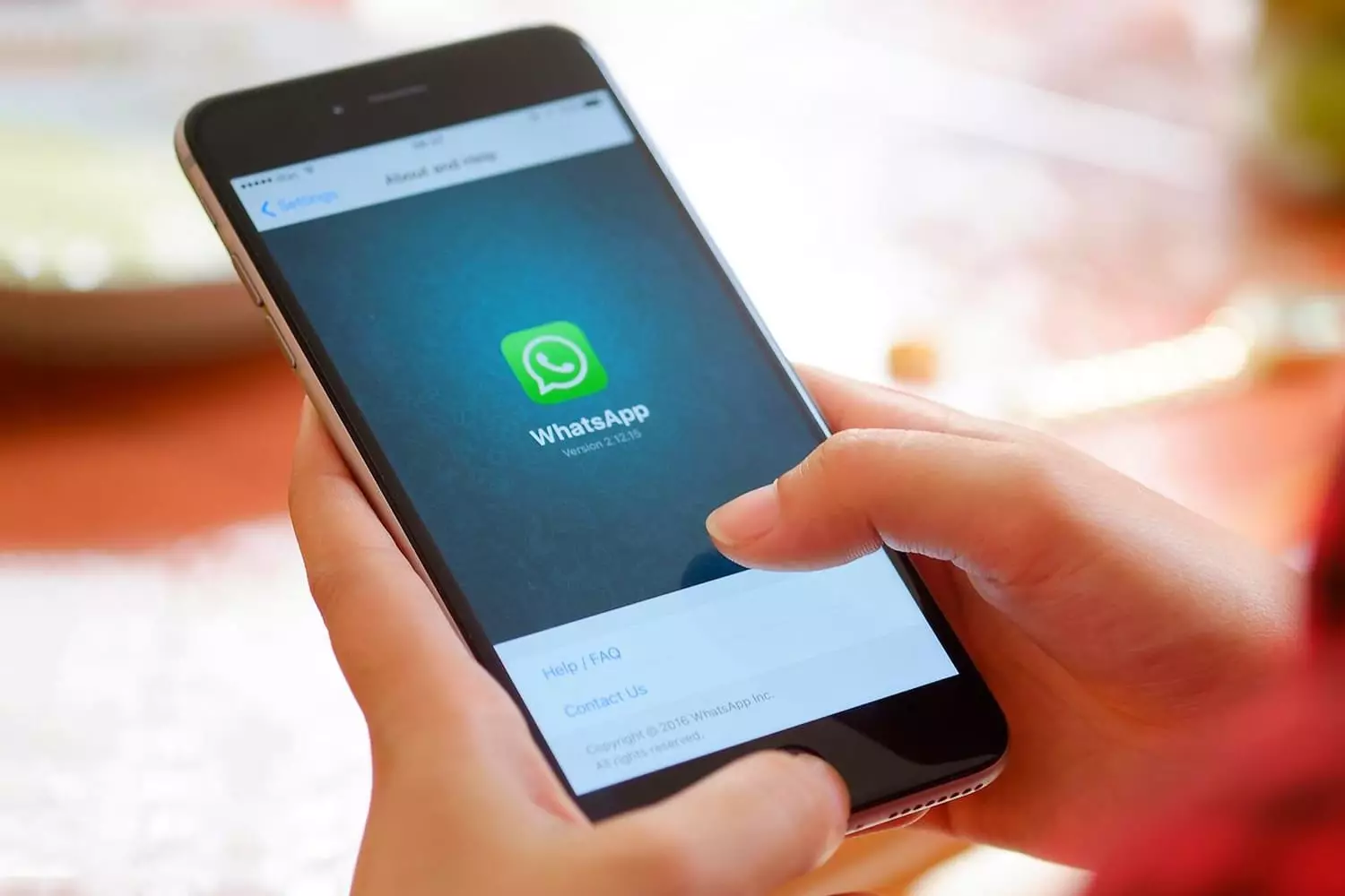 WhatsApp může nyní přenášet všechna data z jednoho čísla do jiného bez upozornění 10429_1