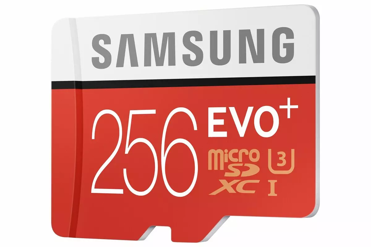 Samsung EVO PLus 256 Gb 2