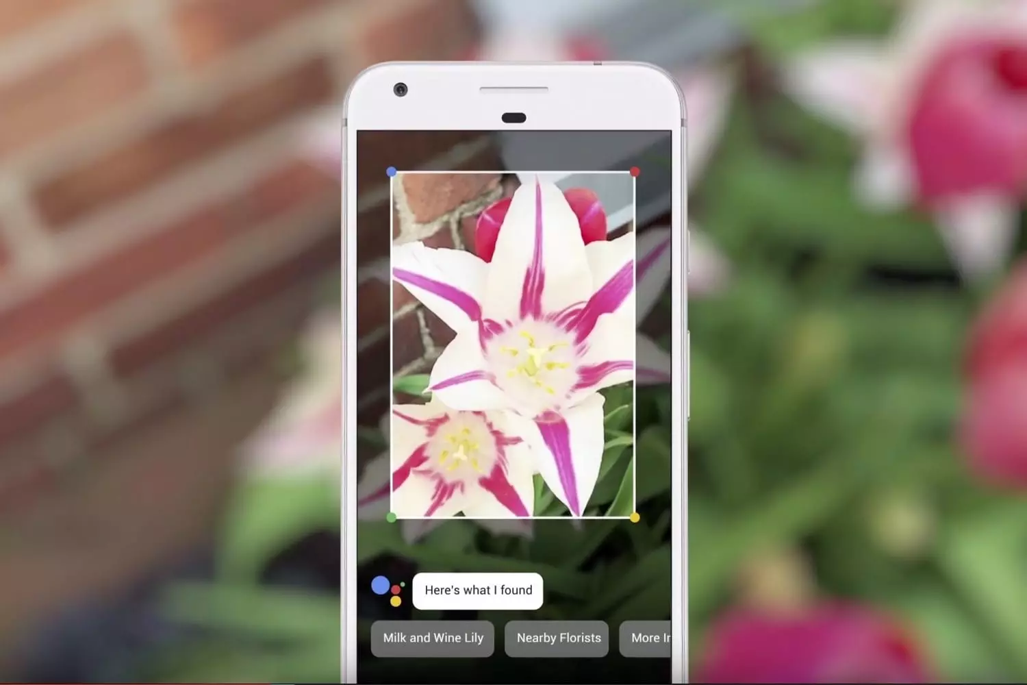 Google Lens, ki je zaslužen na pametnih telefonih, ki teče Android in IOS 14288_2