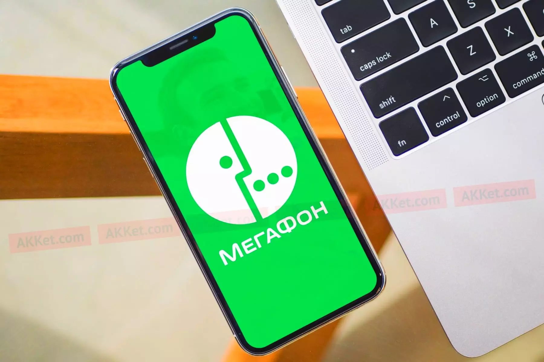 Cellular Offer Offer Offer Megafon нь захиалагчдад өдөрт 650 рубль хийх үйлчилгээ эрхэлдэг 18459_1