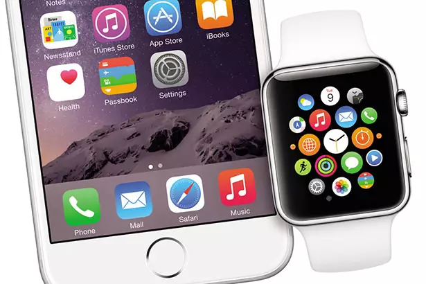 Nätverksläckans ikon och Apple Watch Application Interface för iOS