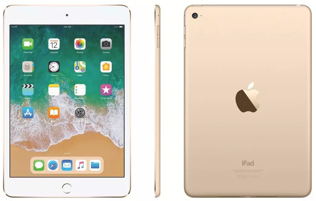 Nova iPad Mini 5 al teruro renversas milionojn da homoj 20847_2