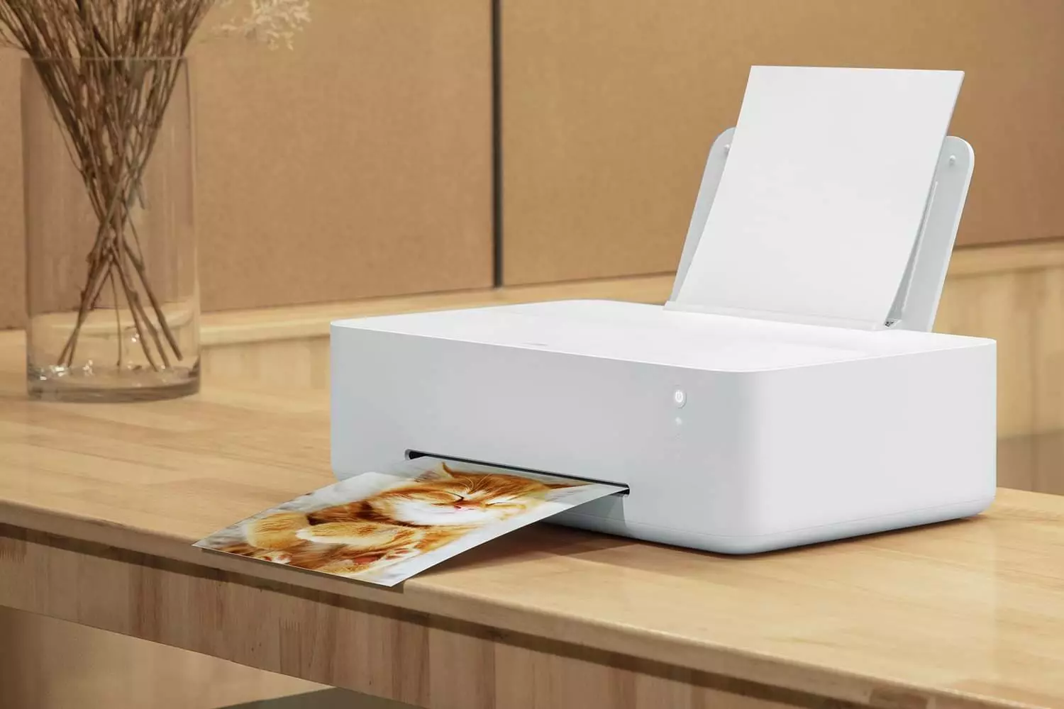 Xiaomi Mija Mound Inkjet Inkjet ngwa nbipute - nke na -abipụta zuru oke na-ebi akwụkwọ na -abụ ndị kachasị ala na ụwa 23214_2