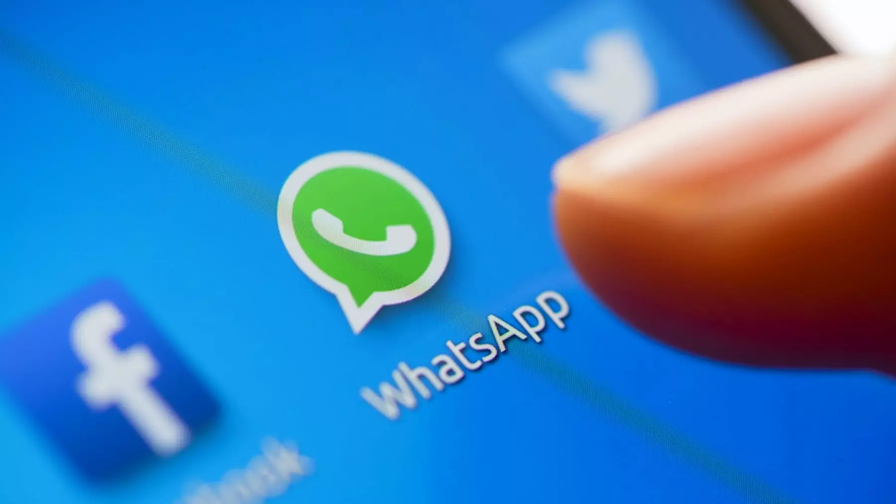 WhatsApp taofi galue i le Android ma iOS 24431_2