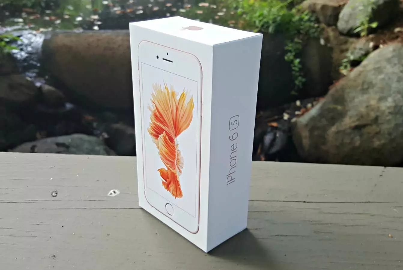 Apple iPhone 6s Plus 2