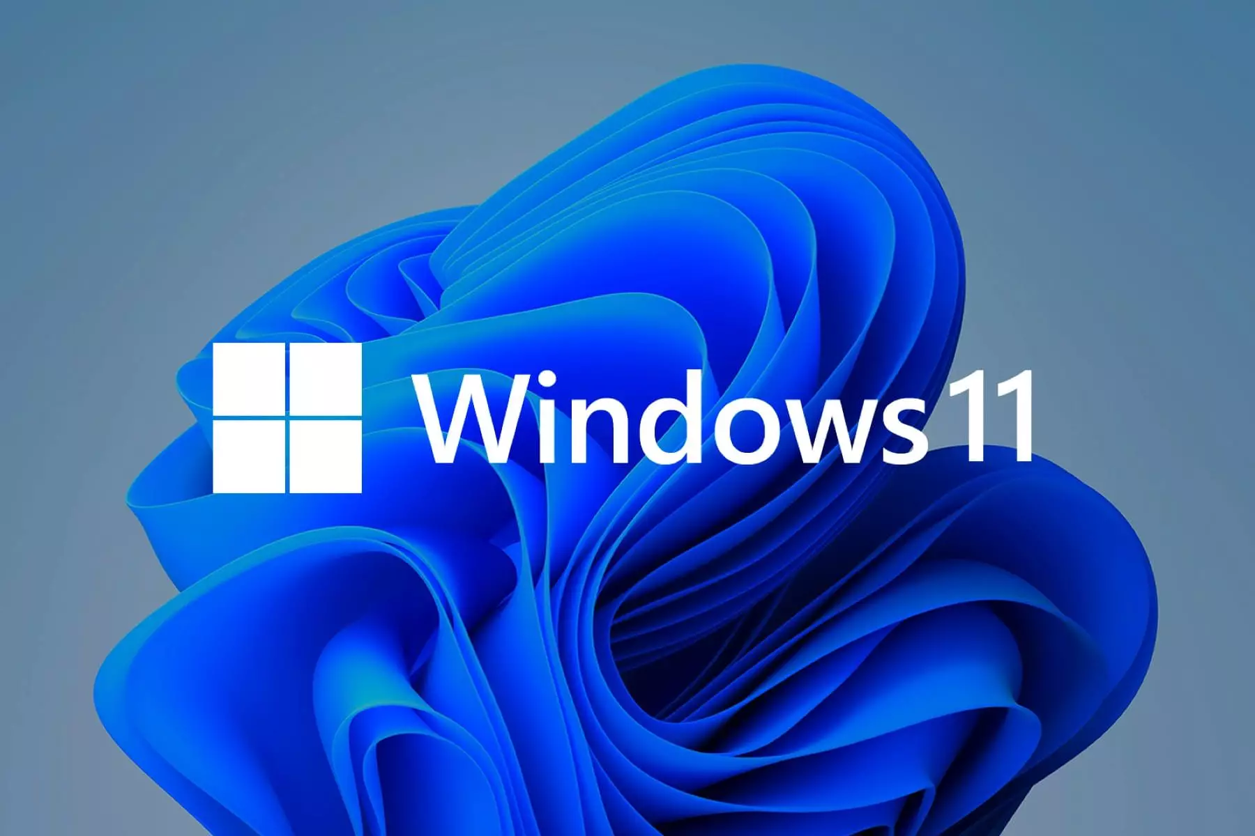 使用許可證免費下載Windows 11 Pro 267_1