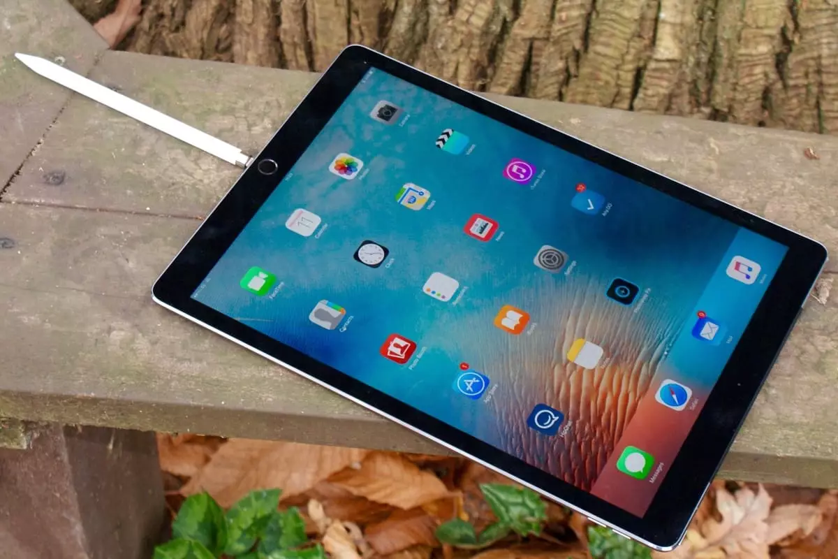 Ipad Pro Rov Los Saib 5