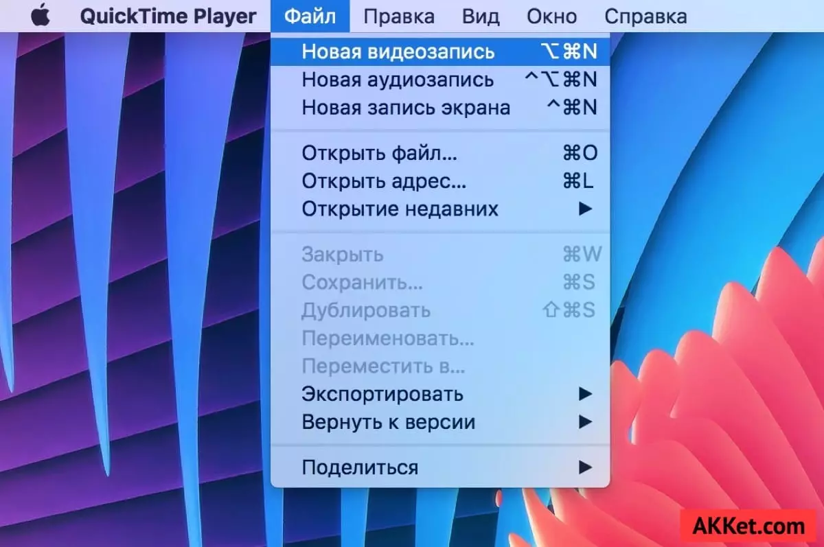 Na obrazovke Record IOS 10 iOS 11 Sprievodca Rusko 4