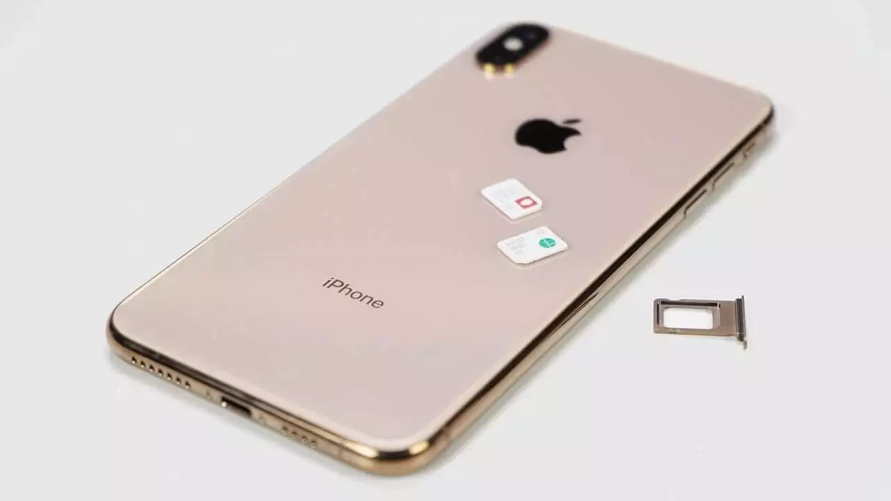 Apple tu iPhone 11 pẹlu kan Iho fun meji SIM kaadi 33018_2