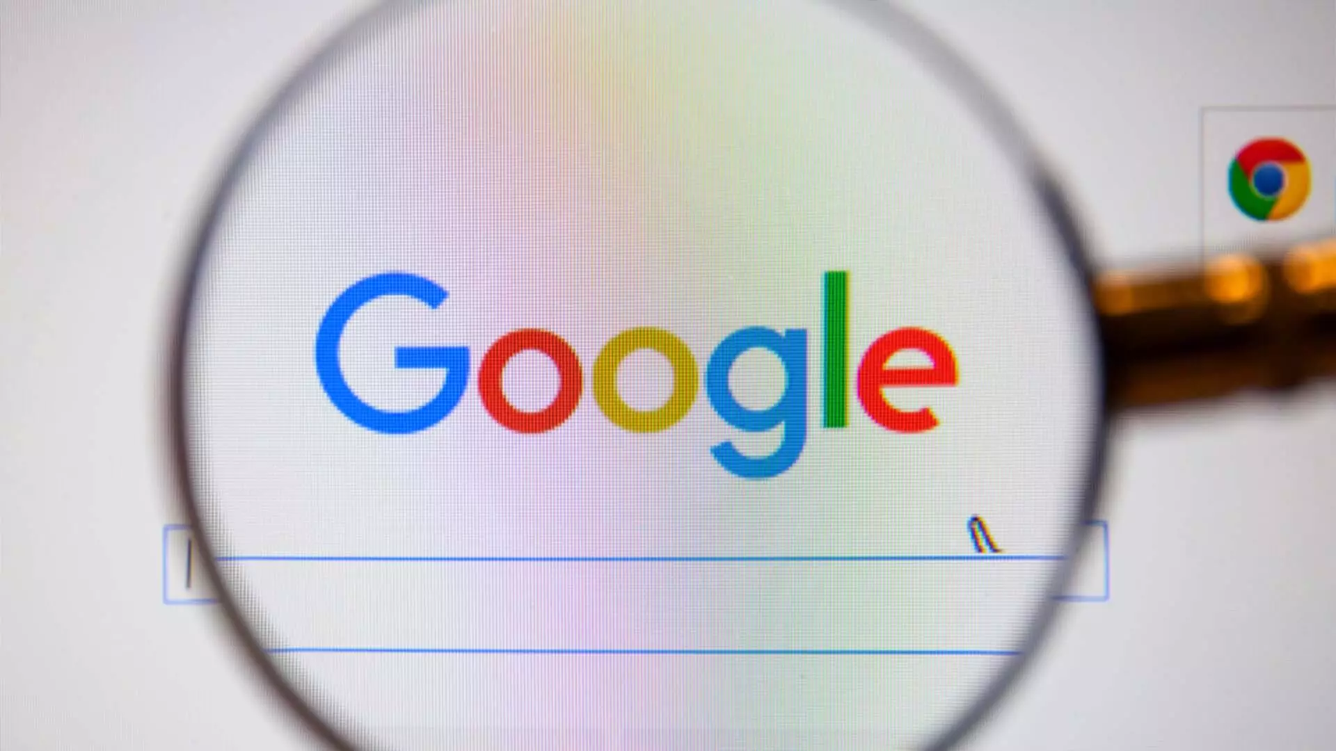 Google Search Engine krige de grutste update yn 'e skiednis 33762_1