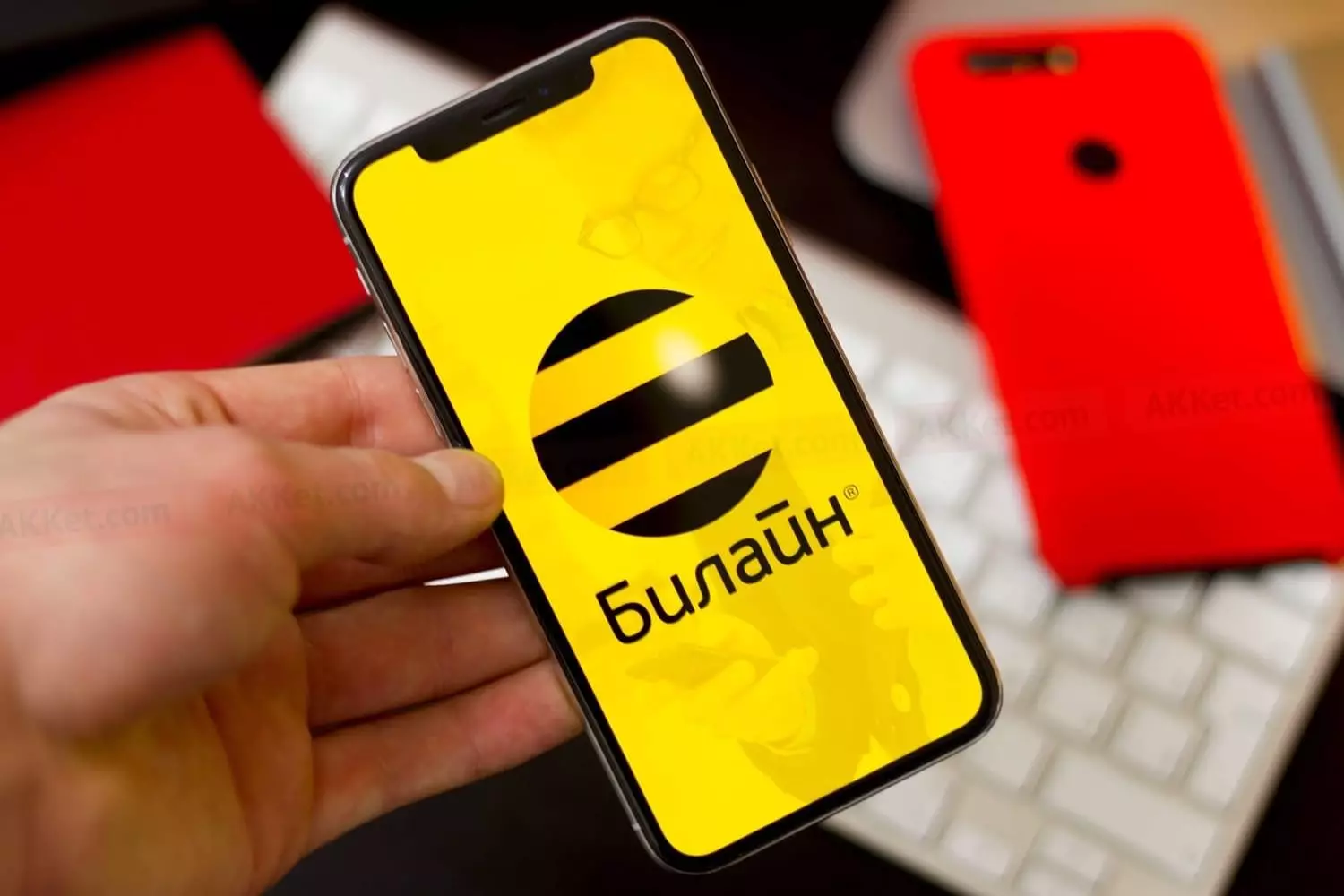 Operatorul celular Beeline a lansat cel mai bun plan tarifar anti-criză pentru 99 de ruble 33898_1