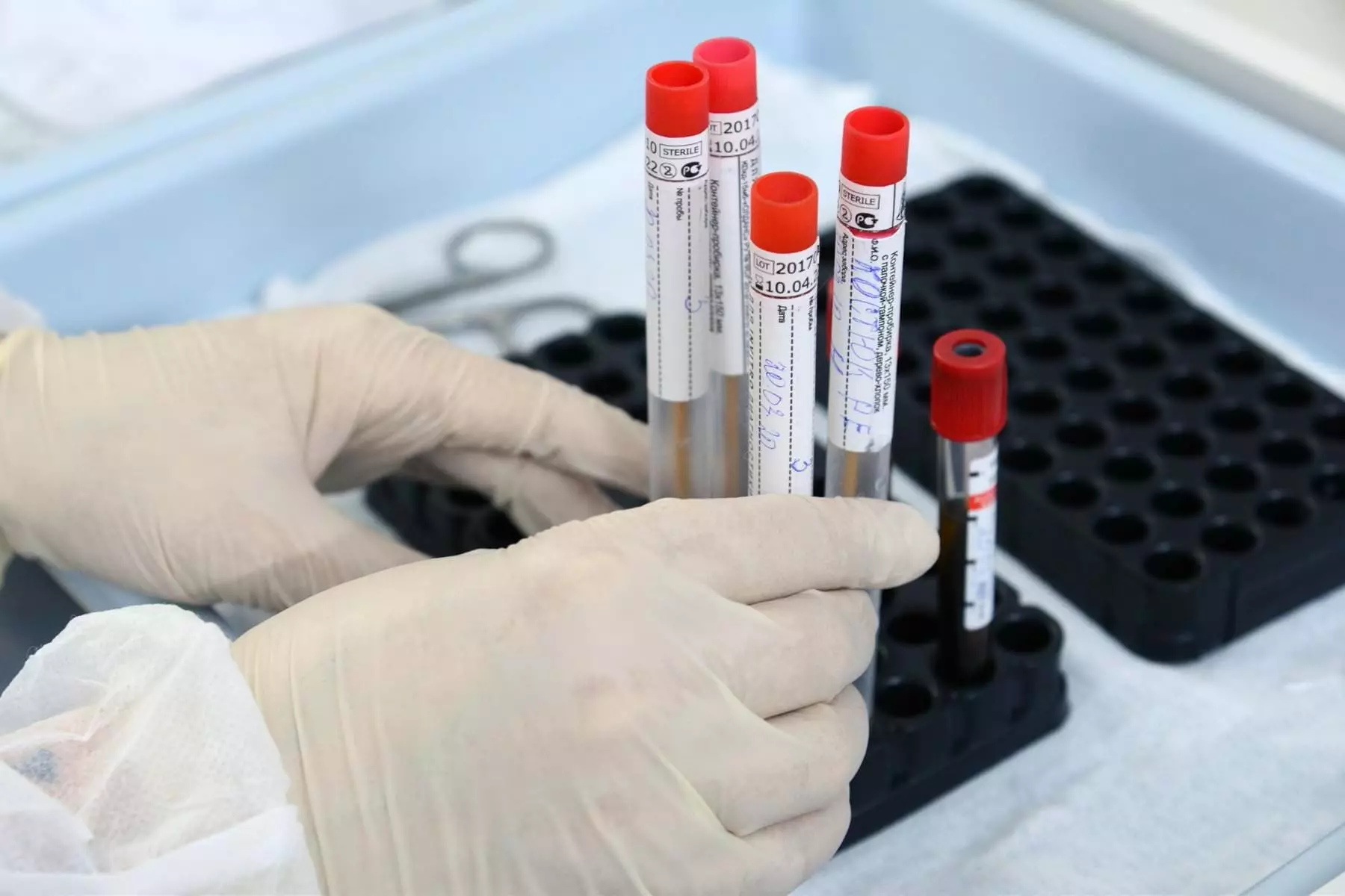Yandex a lancé un test de coronavirus gratuit pour tous ceux qui veulent tout âge 34323_1