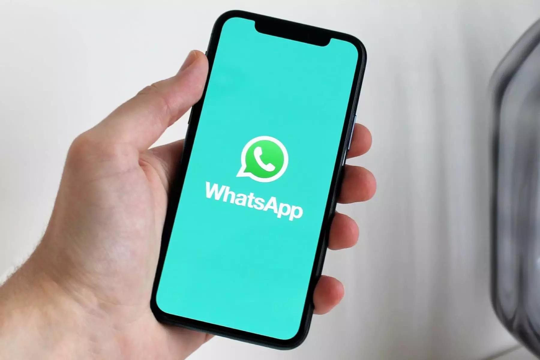 WhatsApp从第1天开始使用Android和iOS 36575_2