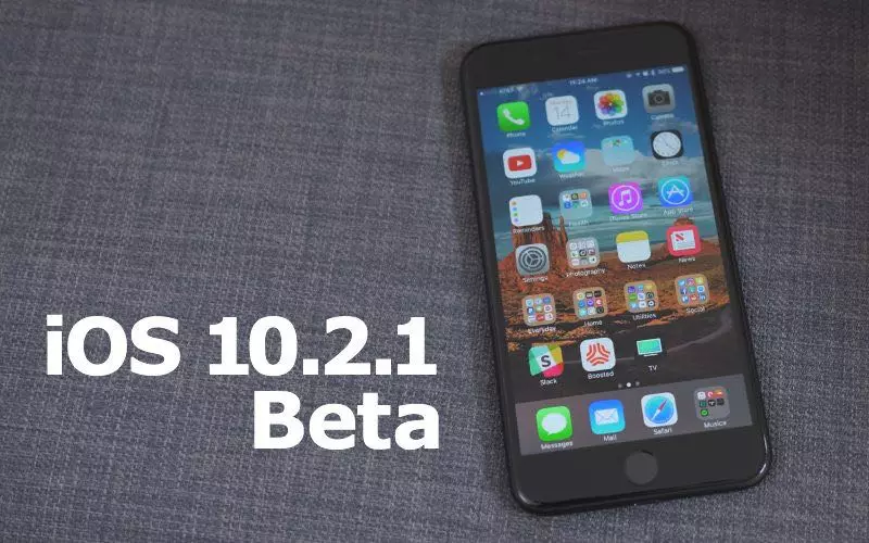 iOS 10.2.1 Beta 3 Descărcați încărcarea