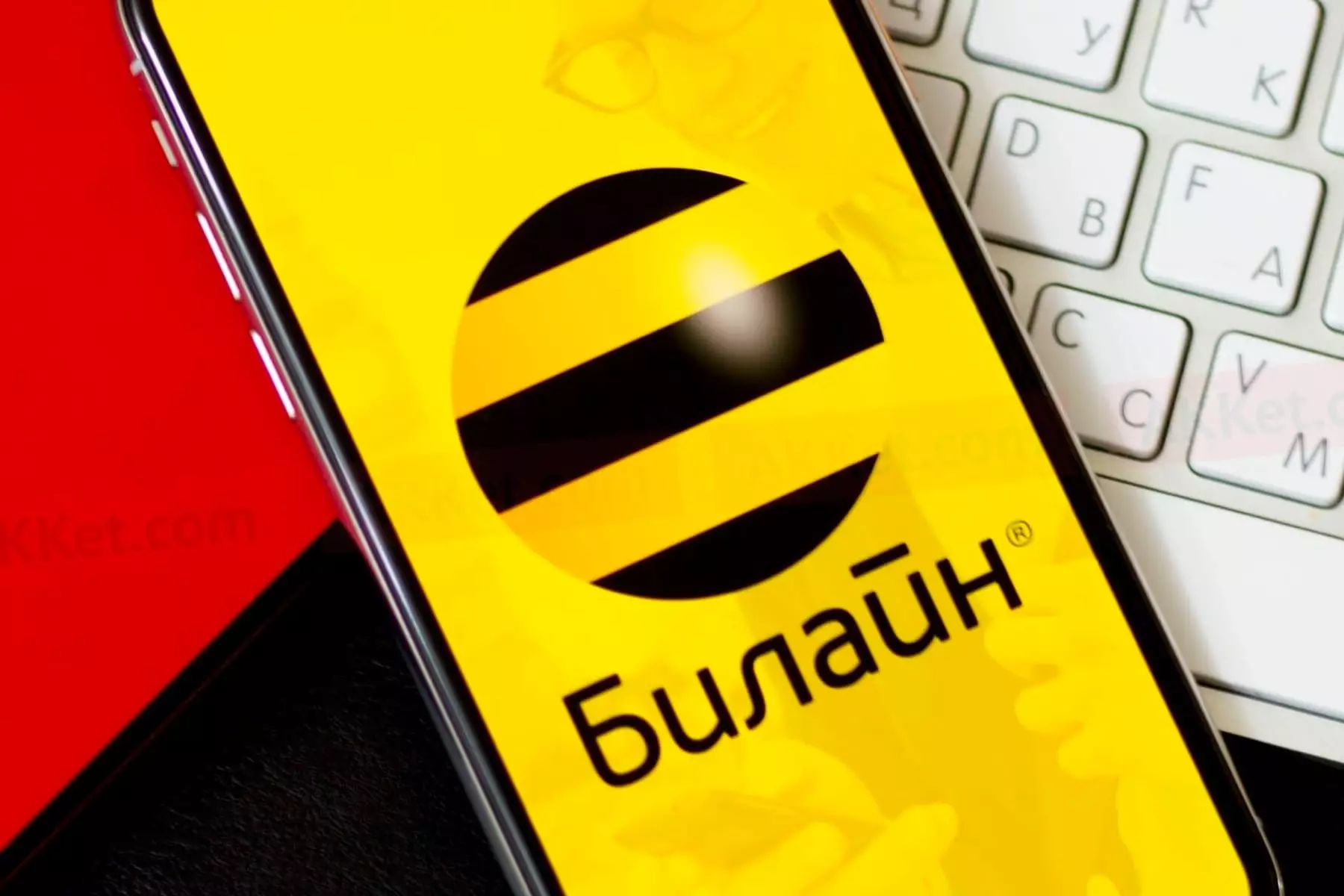 Cellular operator Beeline dünyanın ən "dondurulması" tarif planını başlayıb