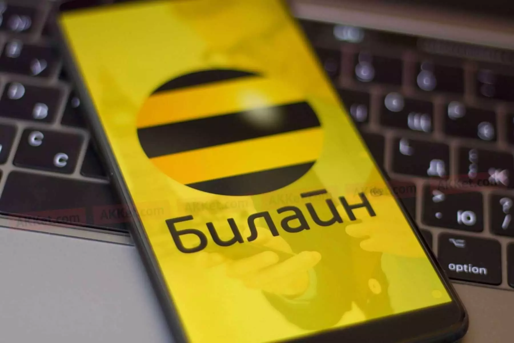 Cellular Operator Beeline hóf gjaldskrá fyrir 99 rúblur, sem allir dreymdu um