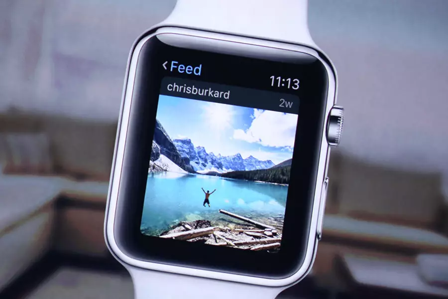 Ny browser tranonkala voalohany ho an'ny Watch Apple Watch