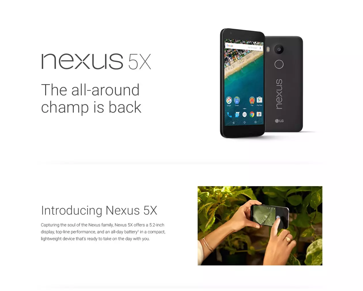 هاتف Nexus 5X.