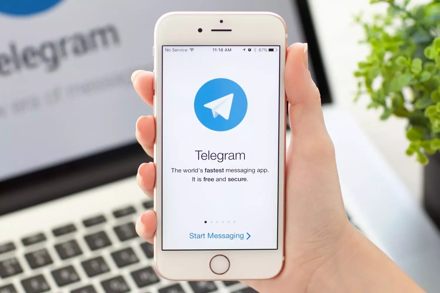 Telegram ha iniziato a bloccare i canali russi con la musica sulla domanda di Google e Apple