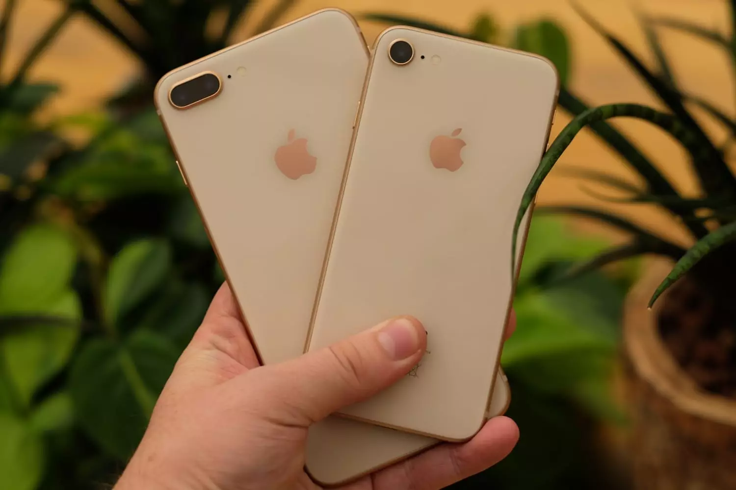 Cijene za iPhone 8 i iPhone 8 Plus u Rusiji slomiti kolaps 4991_1