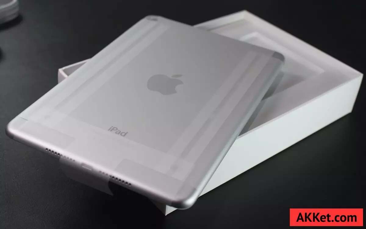 iPad mini 4 Review Russia unboxing 11