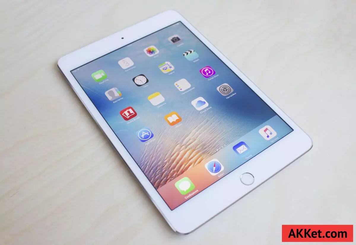 iPad mini 4 Iritzi osoa Errusia 1