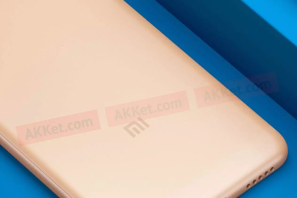 නව පේළියේ සිට Xiaomi R1 පරීක්ෂා කරන්නා විශිෂ්ට තාක්ෂණික උපකරණ ලබා ගනී 6237_2