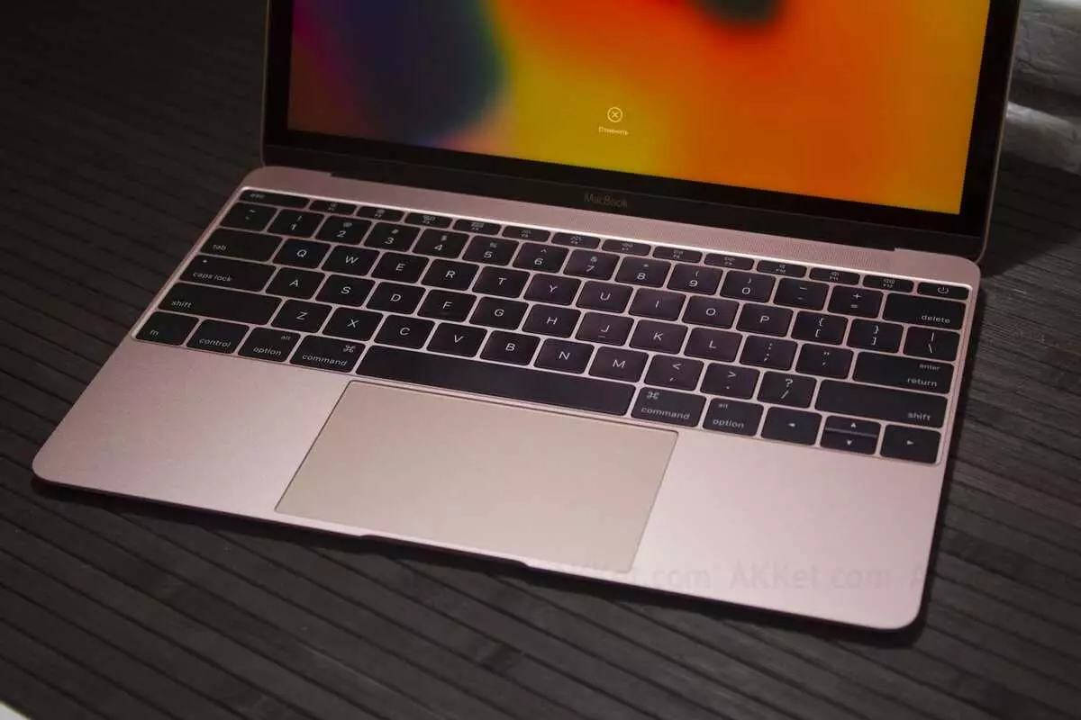 Kif issolvi l-problema prinċipali MacBook 12 fi ftit dollari 7391_1