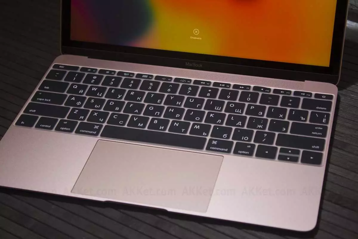 Kif issolvi l-problema prinċipali MacBook 12 fi ftit dollari 7391_2