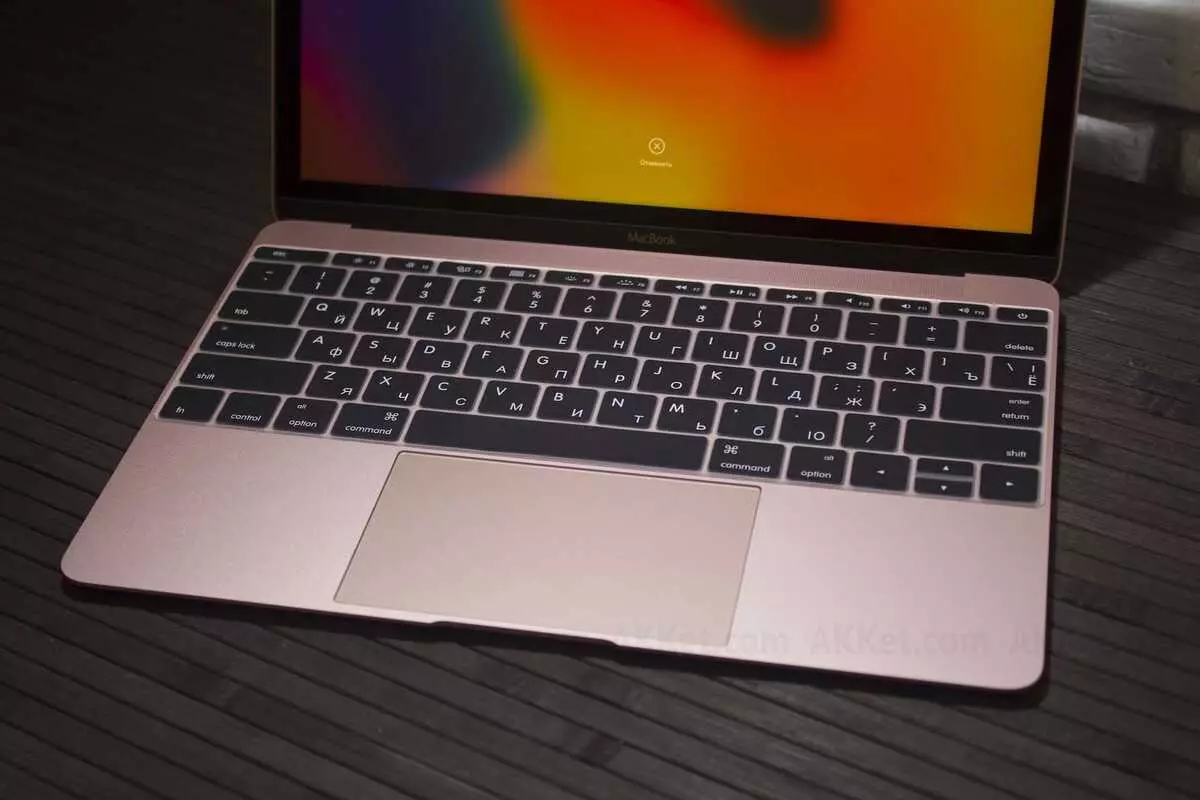 Kif issolvi l-problema prinċipali MacBook 12 fi ftit dollari 7391_3