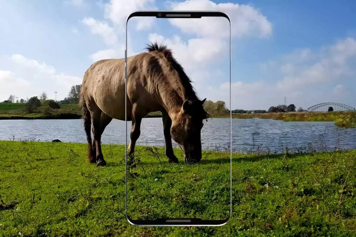 Magnificent LG G7 is much better than iPhone X absolutely in everything - video 8935_4